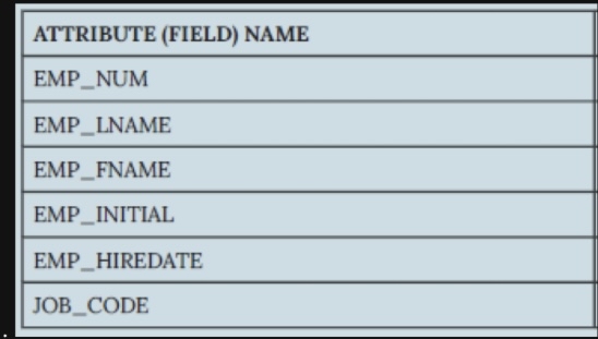 Solved Create the table shown in MySQL. ﻿Use appropriate | Chegg.com