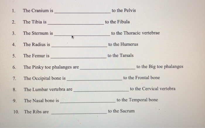 Solved Lab 5 Activity: Directional Terminology 1. Label the | Chegg.com