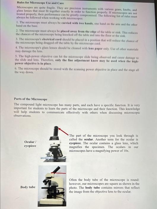 Using A Compound Light Microscope Worksheet Answers | Shelly Lighting