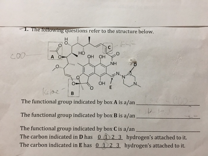 Solved 1. The following questions refer to the structure | Chegg.com