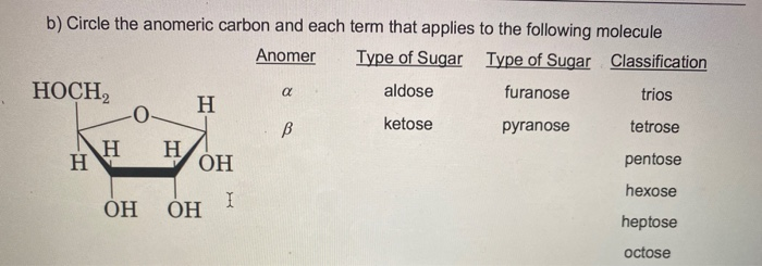 Solved a b) Circle the anomeric carbon and each term that | Chegg.com