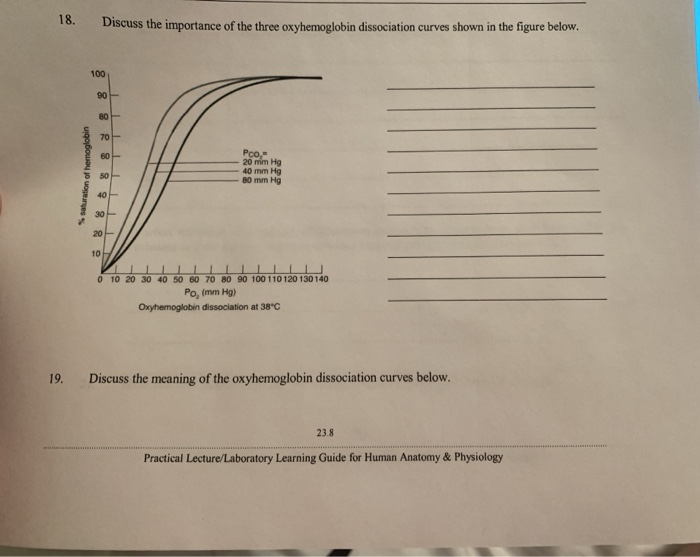 Solved 18. Discuss the importance of the three oxyhemoglobin | Chegg.com