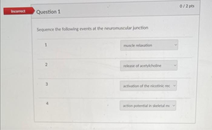 Solved Sequence the following events at the neuromuscular | Chegg.com