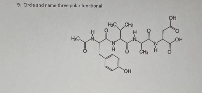 Solved 9. Circle and name three polar functional | Chegg.com