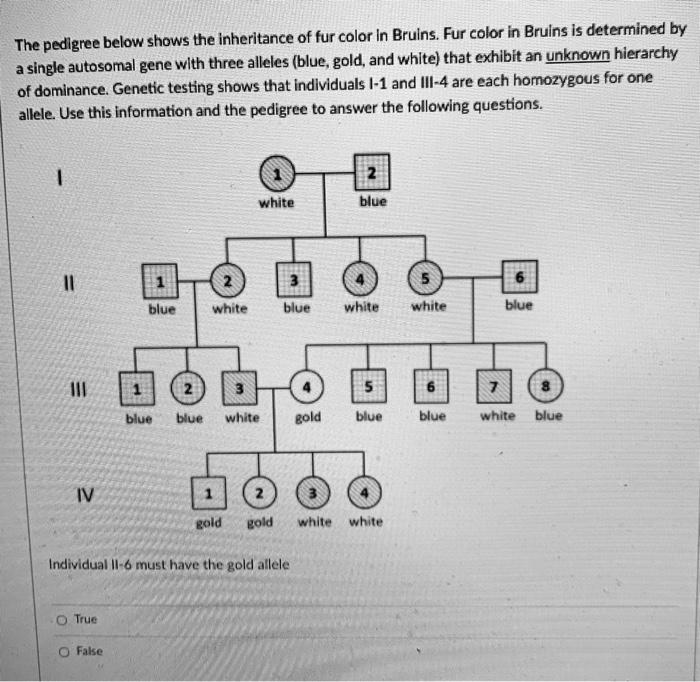 Solved The pedigree below shows the inheritance of fur color | Chegg.com