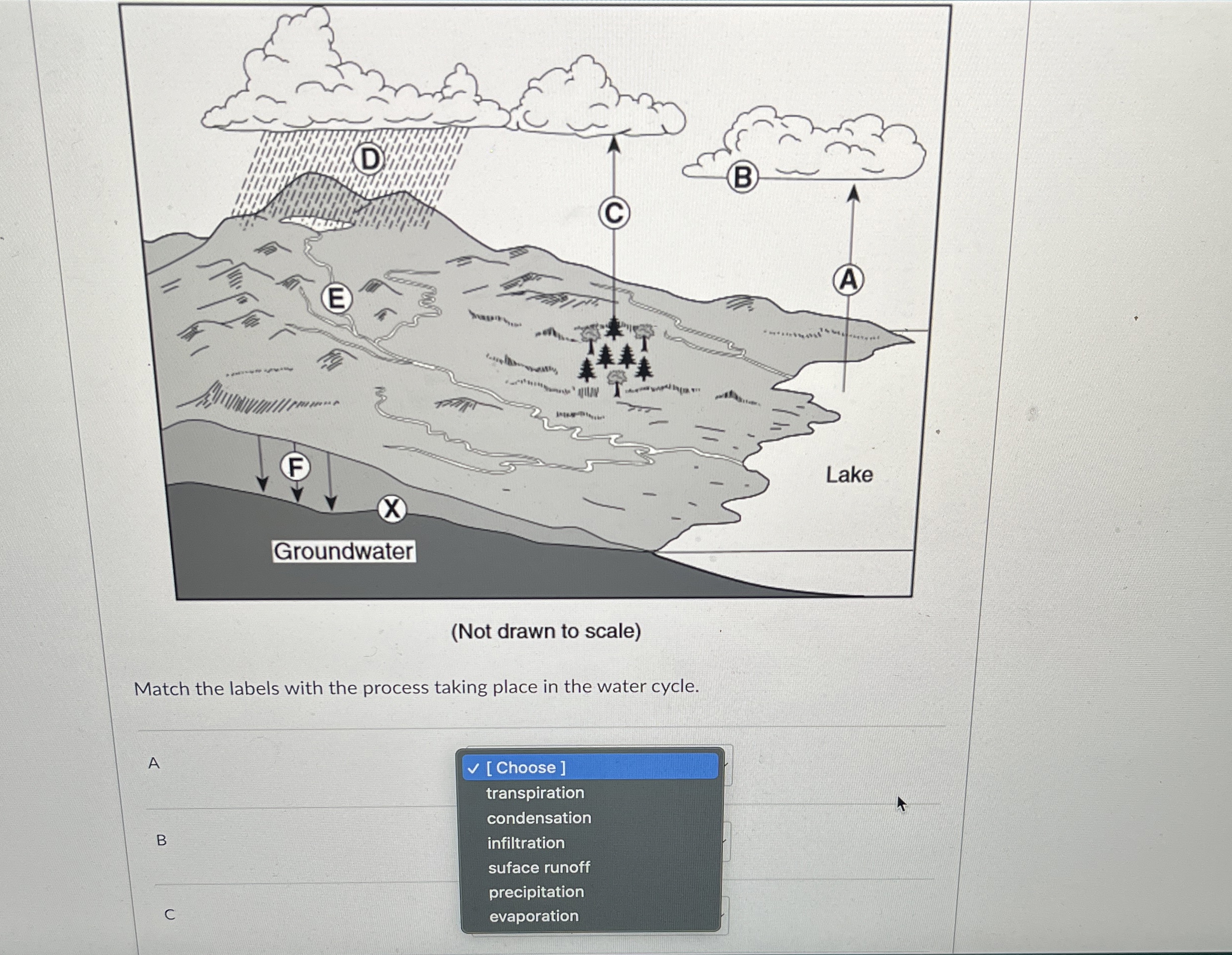 Solved (Not drawn to scale)Match the labels with the process | Chegg.com