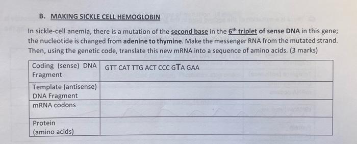 Solved B. MAKING SICKLE CELL HEMOGLOBIN In sickle-cell | Chegg.com