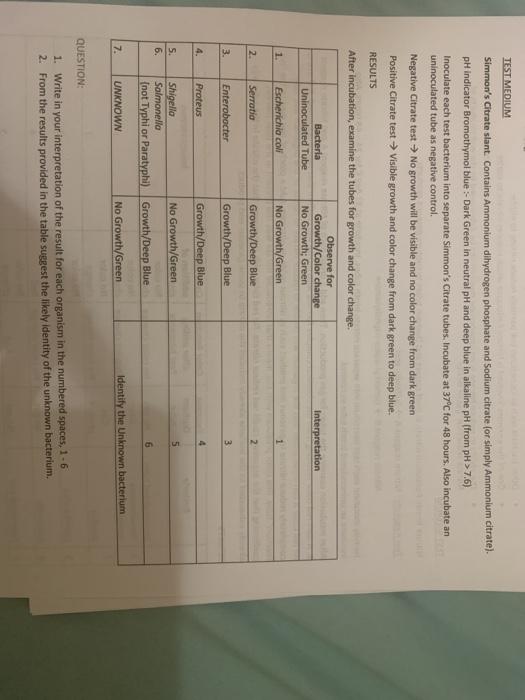Solved TEST MEDIUM Simmon's Citrate slant. Contains Ammonium | Chegg.com