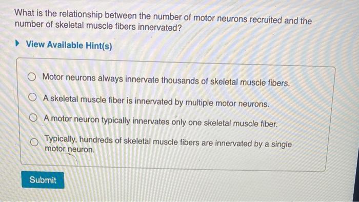 Solved What is name given to the regularly spaced infoldings | Chegg.com