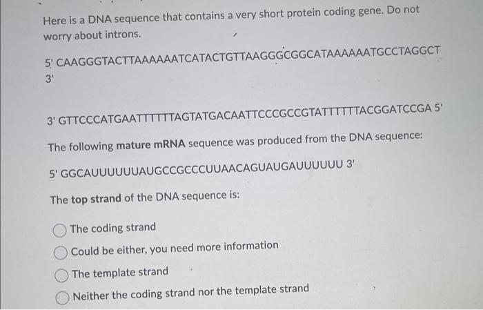 Solved Here is a DNA sequence that contains a very short | Chegg.com