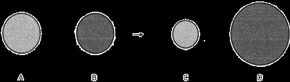 Solved The following four spheres represent a metal atom, a | Chegg.com