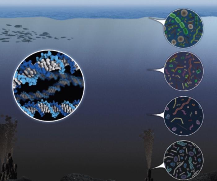 Solved A cross-section view of the ocean shows that | Chegg.com