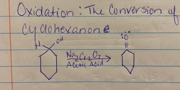 Solved Oxidation: The conversion of cyclohexanol to | Chegg.com
