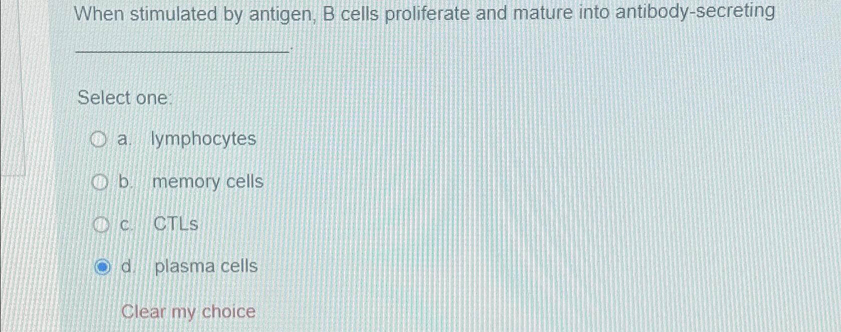 Solved When stimulated by antigen, B cells proliferate and | Chegg.com
