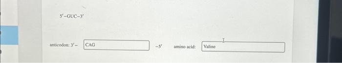 Solved For each codon, provide the anticodon and the | Chegg.com