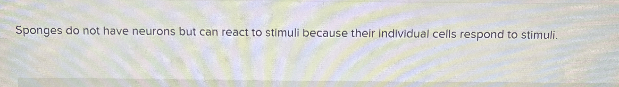 Solved Sponges do not have neurons but can react to stimuli | Chegg.com