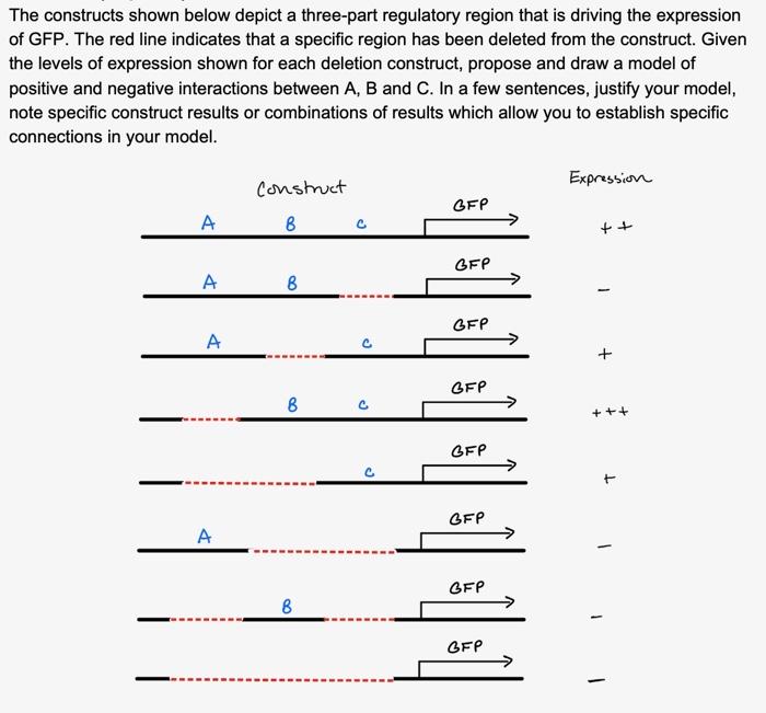 Solved The constructs shown below depict a three-part | Chegg.com