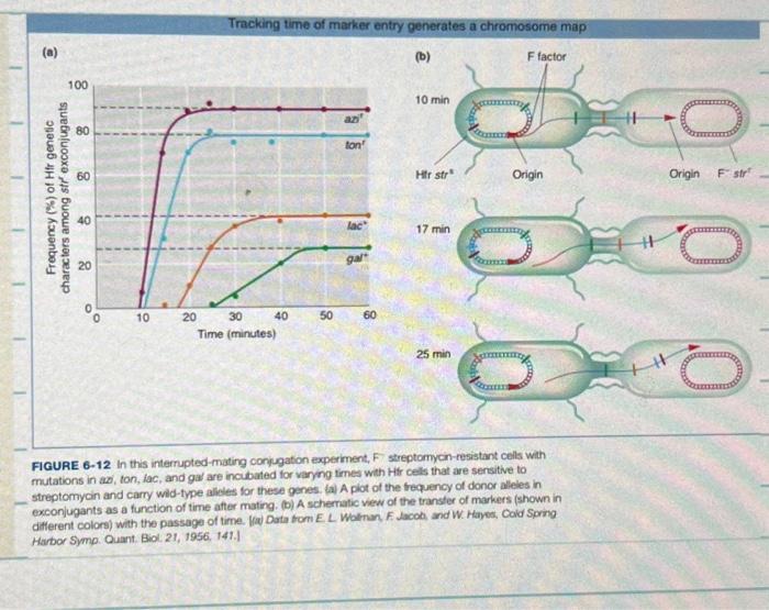Solved 10. In Figure 6-12, a. Which Hfr gene enters the | Chegg.com
