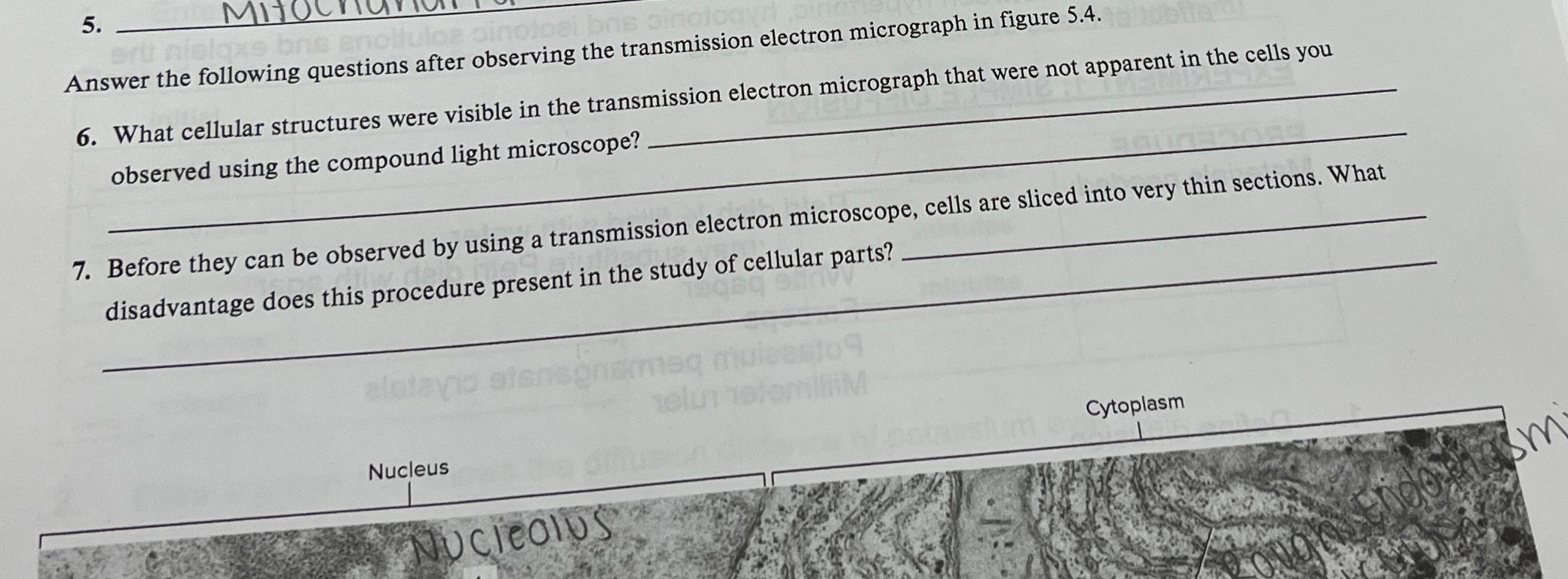 Solved Answer the following questions after observing the | Chegg.com
