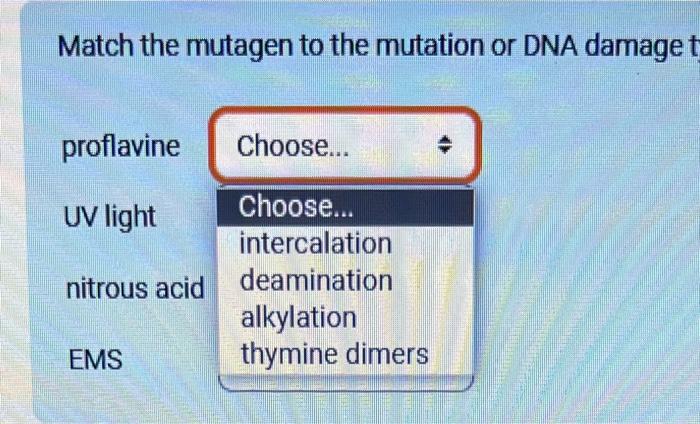 Solved Match the mutagen to the mutation or DNA damage t | Chegg.com