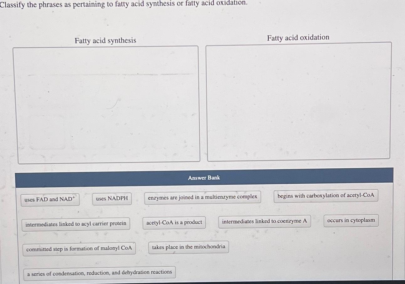 Solved Classify the phrases as pertaining to fatty acid | Chegg.com