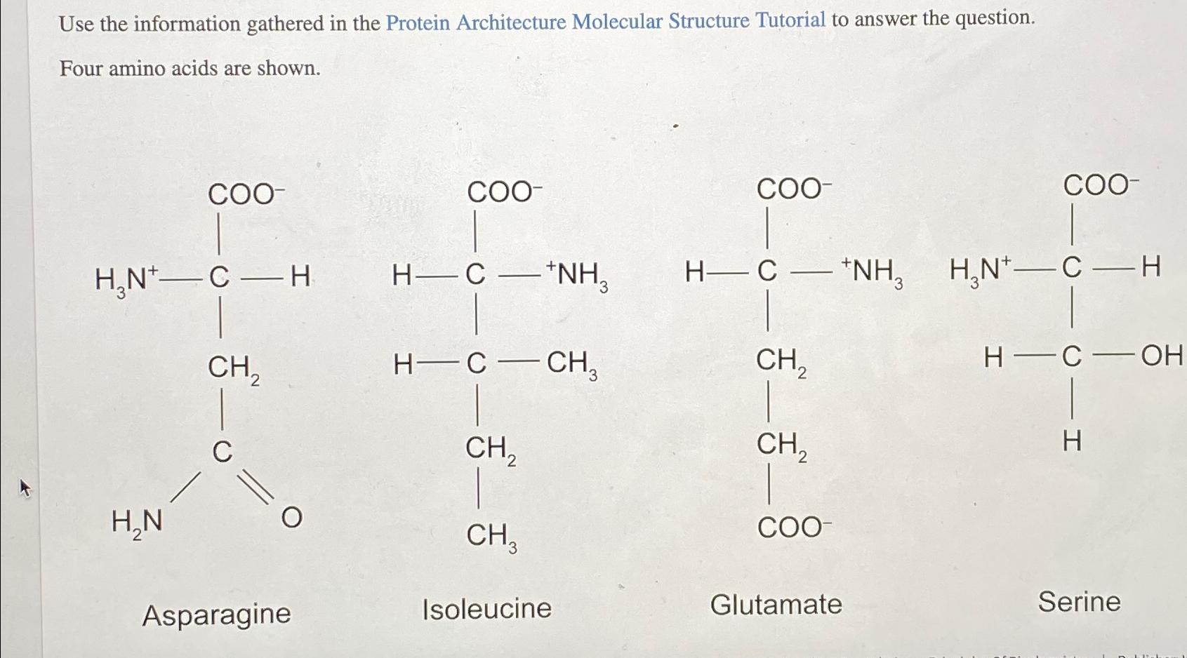 Solved Use the information gathered in the Protein | Chegg.com
