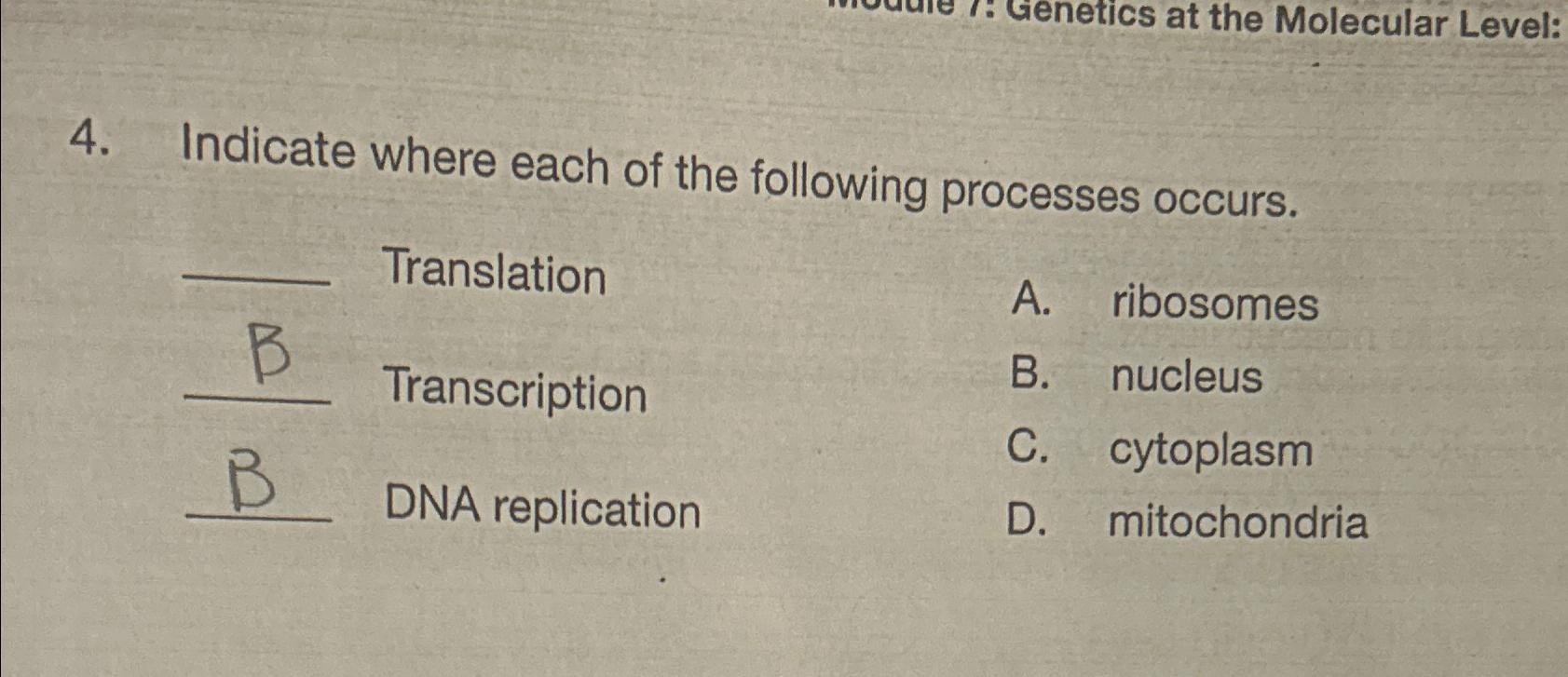 Solved Indicate where each of the following processes | Chegg.com
