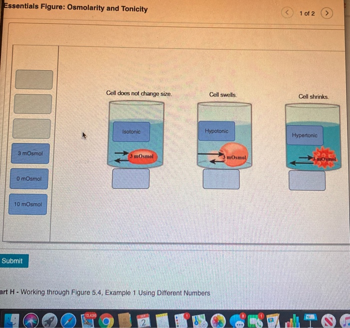 Solved Essentials Figure: Osmolarity and Tonicity 1 of 2 | Chegg.com