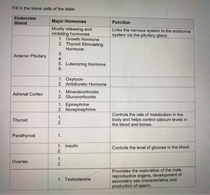 Solved Fill in the blank cells of the table. Endocrine Gland | Chegg.com