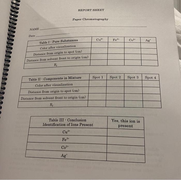 based on the SAMPLE report sheet / the SAMPLE | Chegg.com