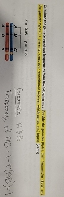 Solved Calculate the gamete genotype frequencies from the | Chegg.com