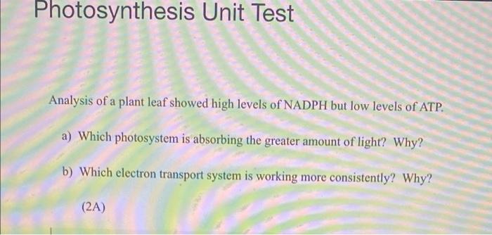 Solved Photosynthesis Unit Test Analysis of a plant leaf | Chegg.com