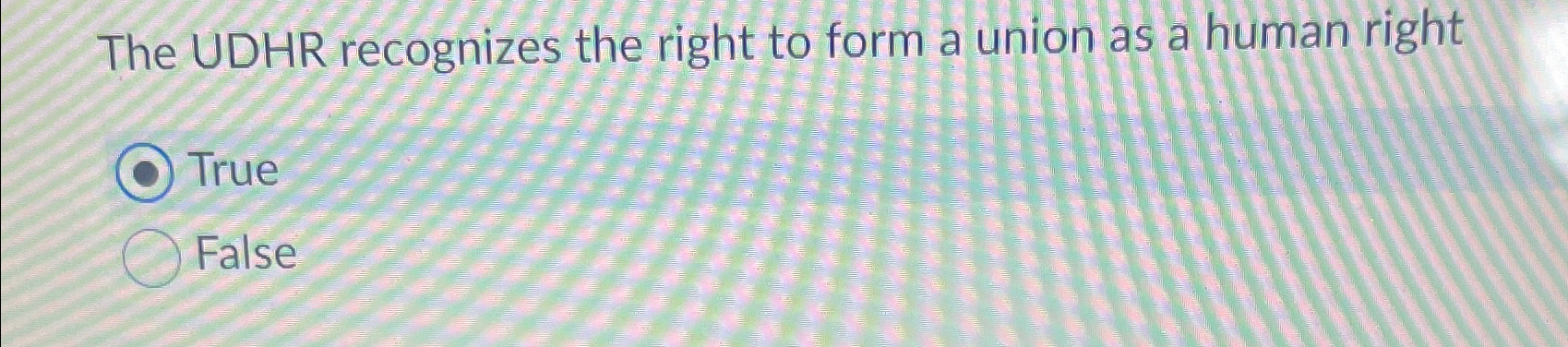 Solved The UDHR recognizes the right to form a union as a | Chegg.com