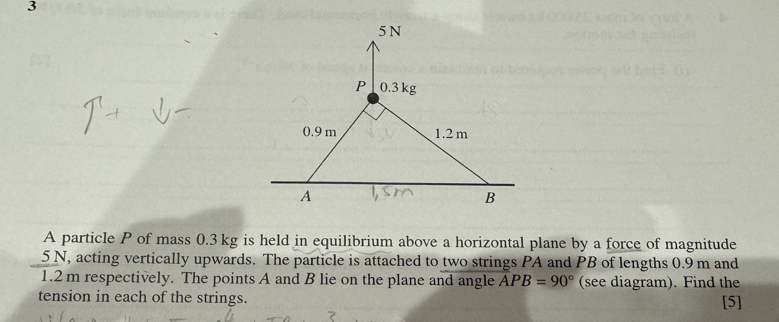 Solved A particle P ﻿of mass 0.3 ﻿kg is held in equilibrium | Chegg.com