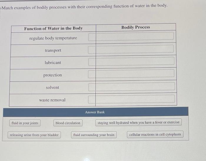 Solved Match examples of bodily processes with their | Chegg.com