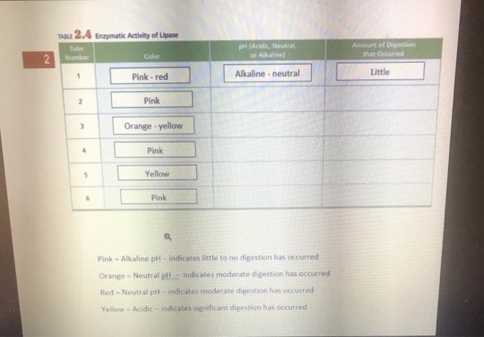 Solved TABLE 2.4 Enzymatic Activity of Lipase Tube Number PH | Chegg.com