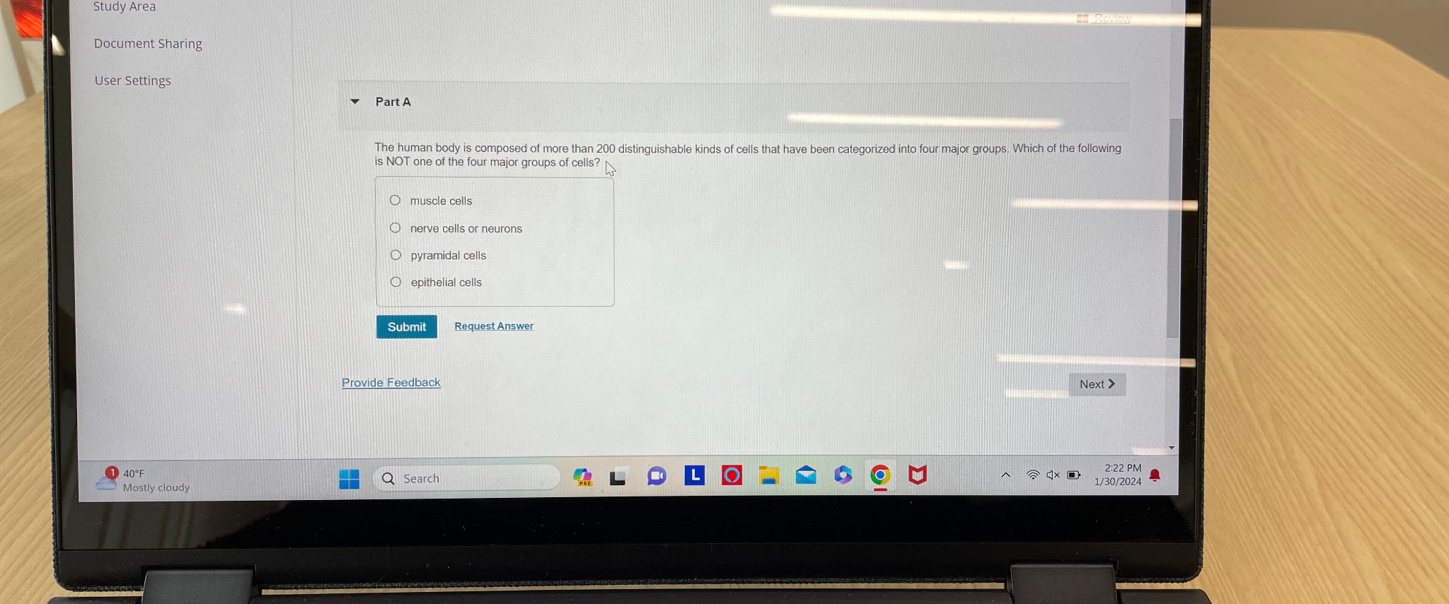 Solved Study AreaDocument SharingUser SettingsPart AThe | Chegg.com