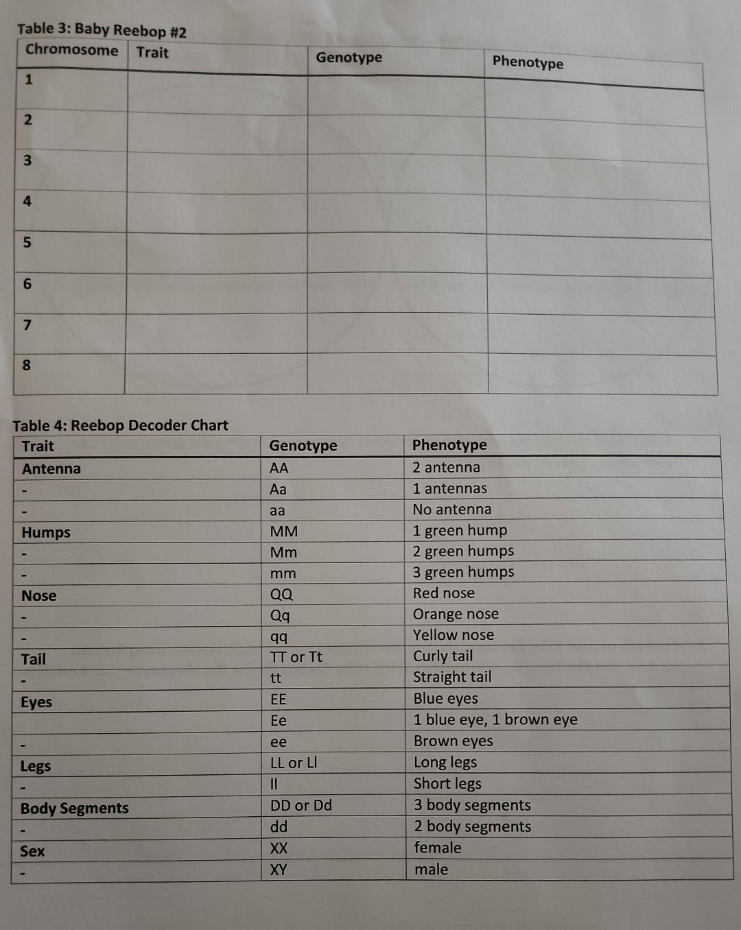 Solved A Reebop is a little mythical creature that has eight | Chegg.com