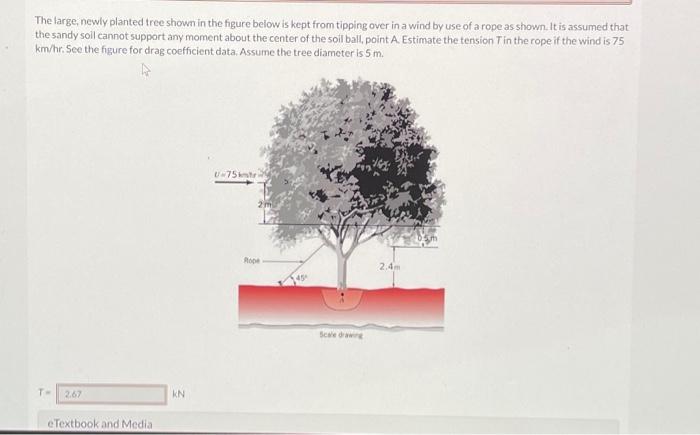 Solved The large, newly planted tree shown in the figure | Chegg.com