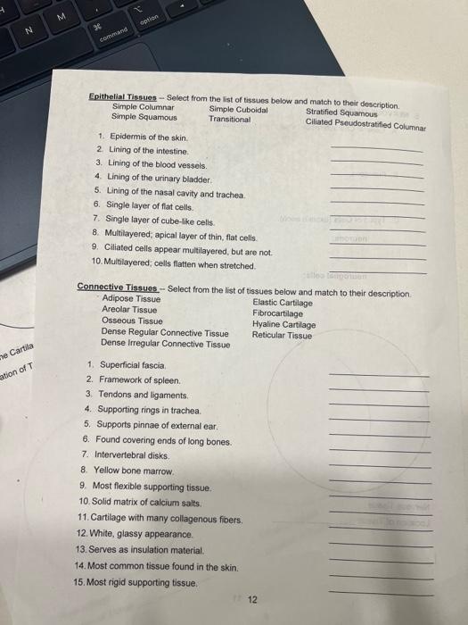 Epithelial Tissues - Select from the list of tissues | Chegg.com