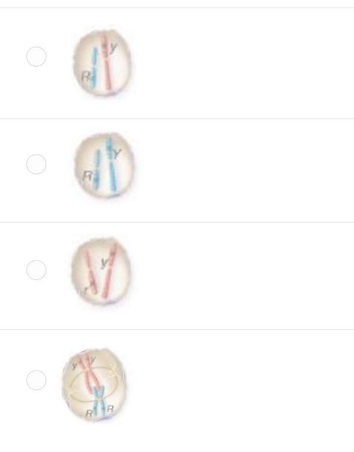 Solved Choose the correct cell for the empty box. | Chegg.com