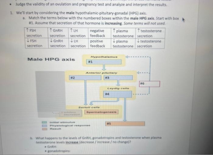Solved Judge the validity of an ovulation and pregnancy test | Chegg.com