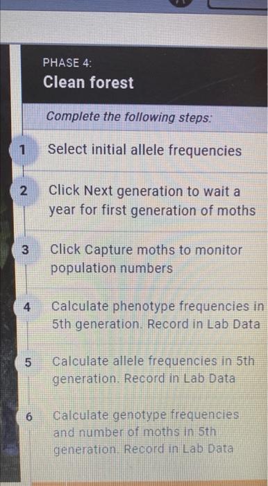 Solved Calculate allele frequencies in the 5th generation. | Chegg.com