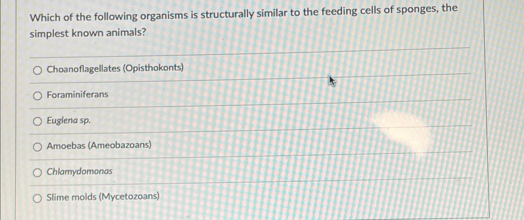 Solved Which of the following organisms is structurally | Chegg.com