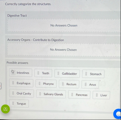 Correctly categorize the structures.Digestive TractNo | Chegg.com