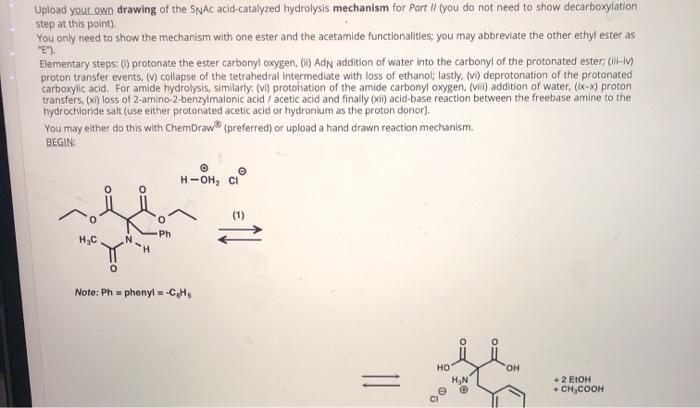 Solved Upload your own drawing of the Snac acld-catalyzed | Chegg.com