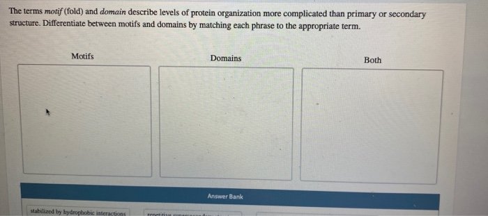Solved The terms motif (fold) and domain describe levels of | Chegg.com
