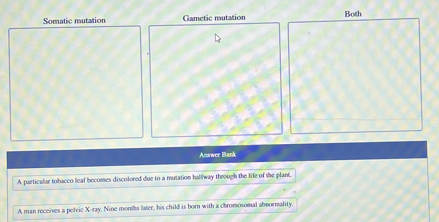 Solved Somatic mutationGametic mutationBothAnswer BankA | Chegg.com