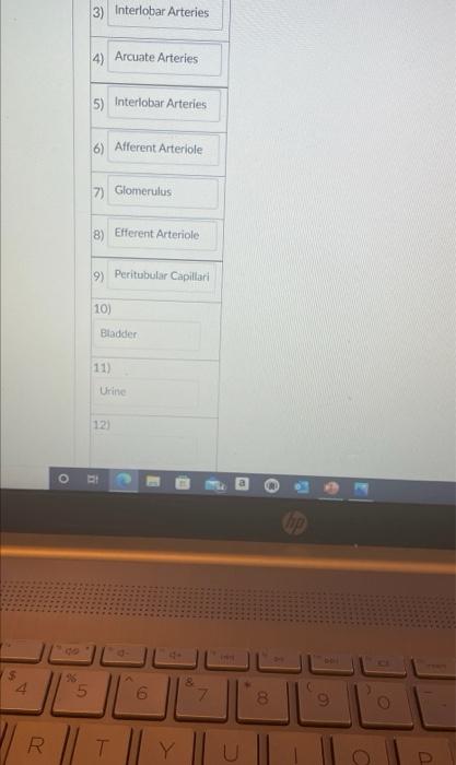 Solved Question 51 10 pts Use the following table to trace a | Chegg.com