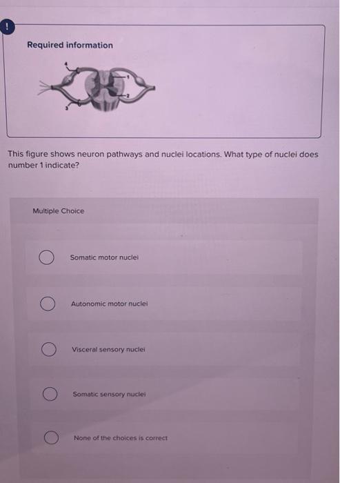 Solved Which structure is highlighted? Multiple Choice | Chegg.com